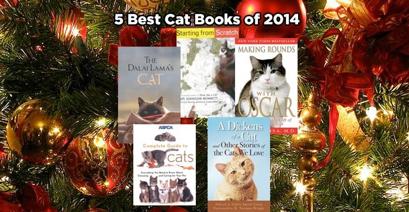 5 Best Cat Books of 2014
