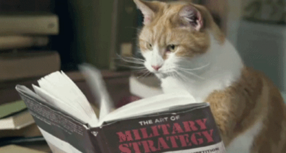 7 Best Cat Gifs of the Week – 20th December 2014