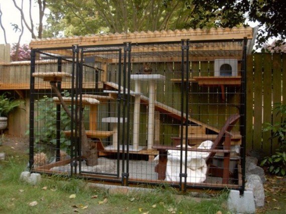 Forget the Patio, Get a Catio