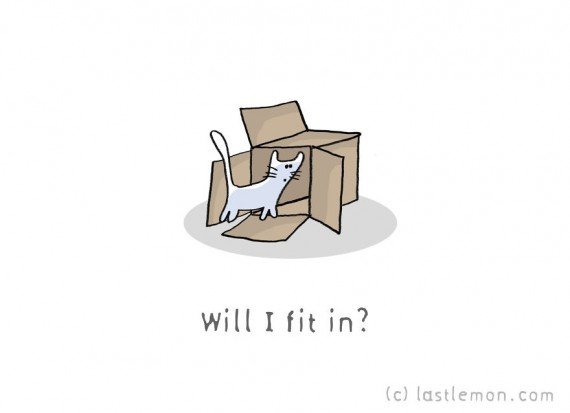 11 Questions That Cats Ask - We Love Cats and Kittens