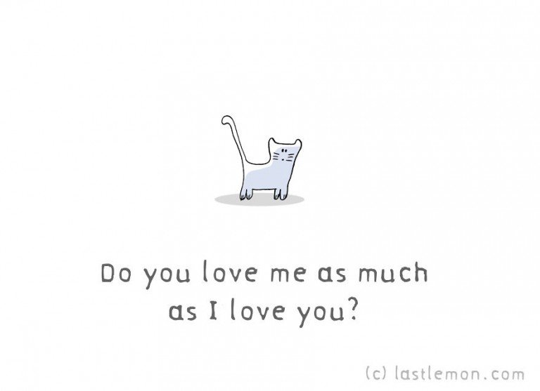 11 Questions That Cats Ask - We Love Cats and Kittens