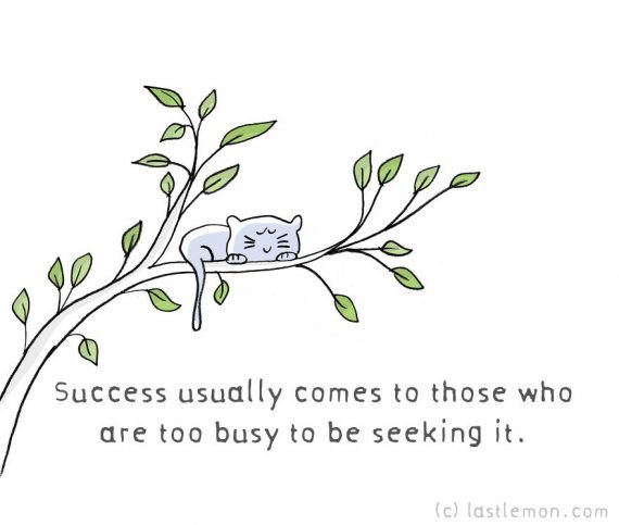 10 Motivational Quotes From Cats - We Love Cats and Kittens