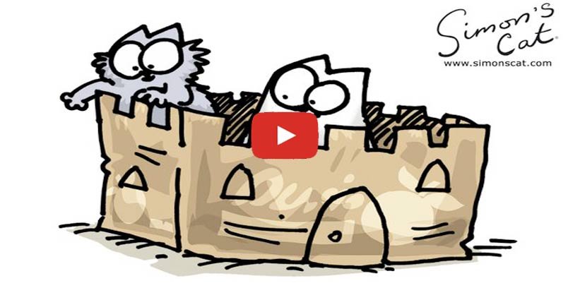 Simon's Cat Logic - Why Do Cats Love Boxes?! - We Love Cats and Kittens