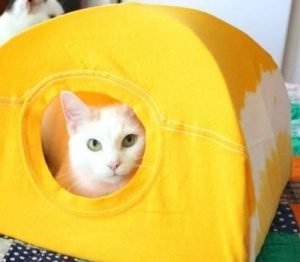 How To Make The Purr-Fect Cat Tent - We Love Cats and Kittens