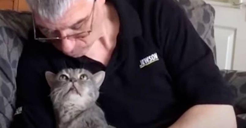 Cat Cuddles With Dad Every Single Day - We Love Cats and Kittens
