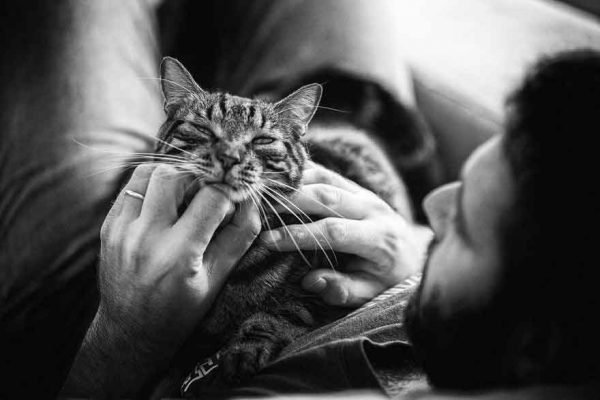 18 Beautiful Pictures of Men With Their Cats - We Love Cats and Kittens