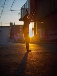 15 Of The Funniest Dancing Cat Pics - We Love Cats and Kittens