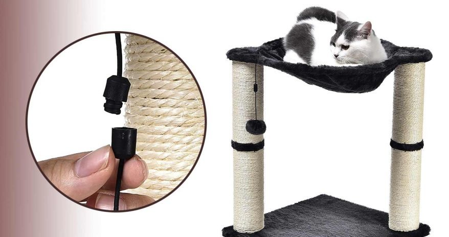 Amazon Basics Cat Condo With Hammock Bed : As Good As People Say?