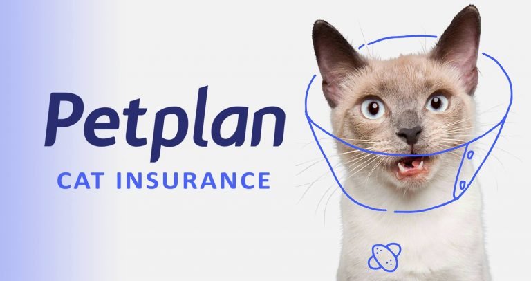 Petplan Pet Insurance Review: Everything You Need to Know