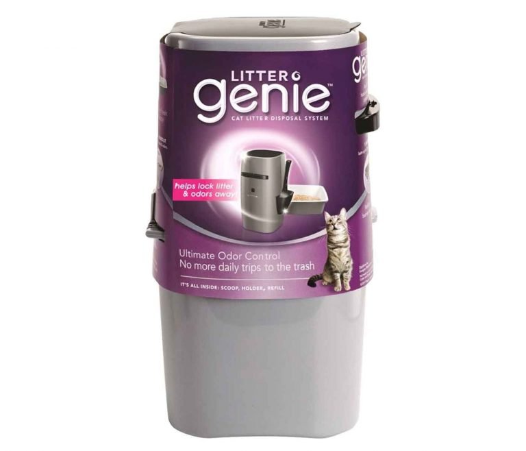 Litter Genie Review: Standard, Plus Or XL (And How To Use It!)