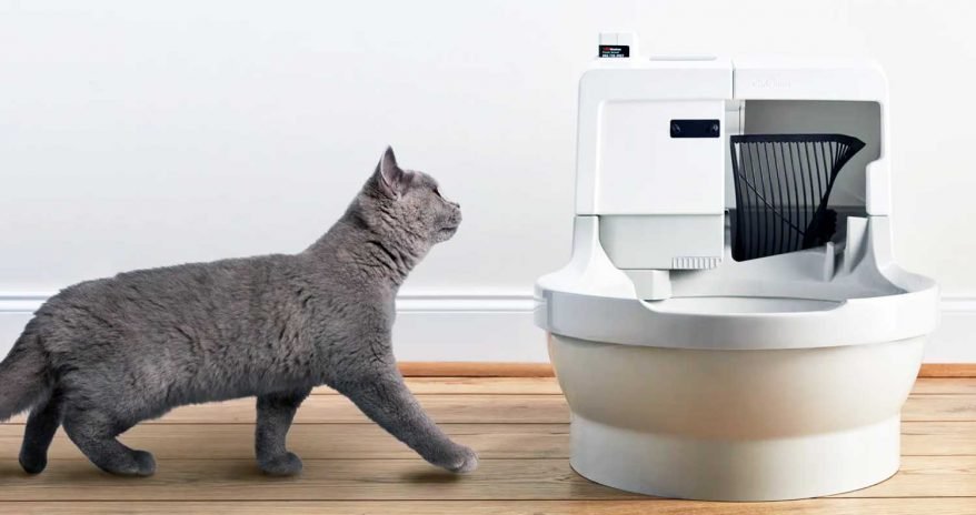 CatGenie Litter Box Review - We Love Cats and Kittens
