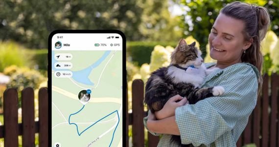 An Honest Review of the Tractive GPS Cat Tracker - We Love Cats and Kittens