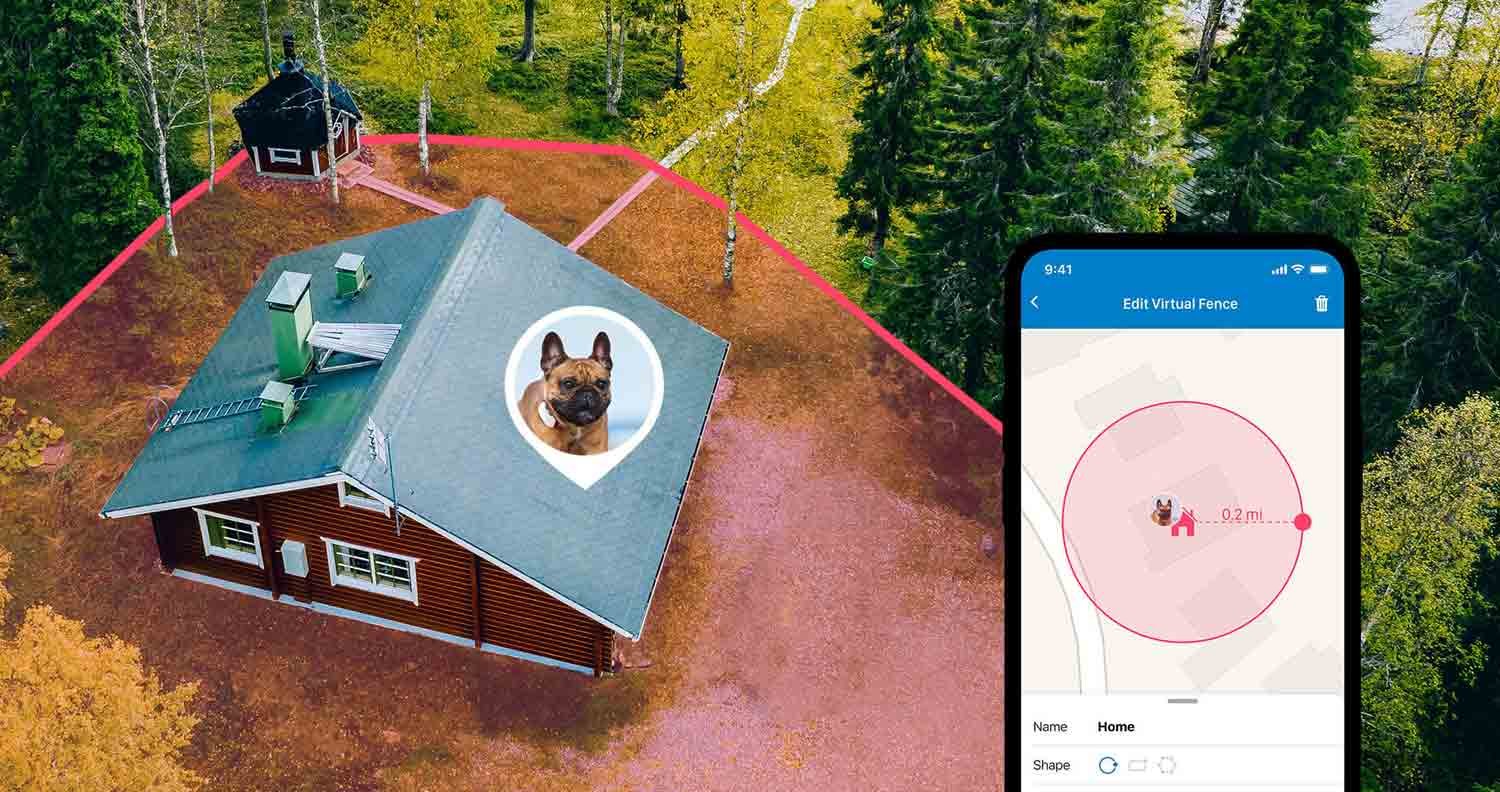An Honest Review of the Tractive GPS Cat Tracker - We Love Cats and Kittens