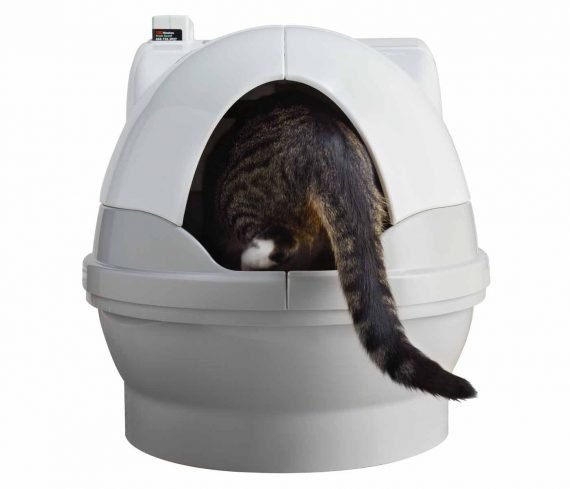 CatGenie Litter Box Review - We Love Cats and Kittens