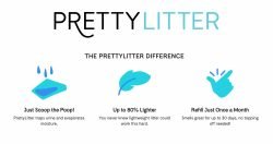 Pretty Litter Cat Litter: The Inside Scoop (Cost and Review – 2023 ...