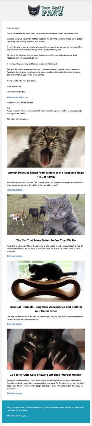 Join Our Cat Lovers Newsletter for Daily Cute Updates