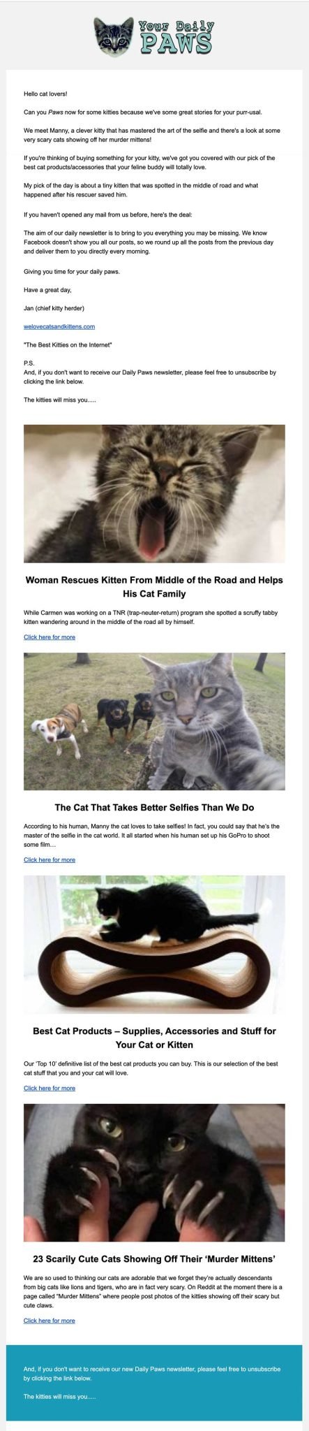 Cat Newsletter Signup (Daily Kitty Stories!) - We Love Cats and Kittens