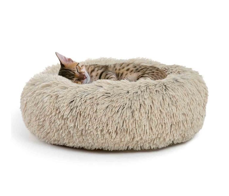 The Ultimate Donut Cat Bed: Why The Marshmallow Style Wins