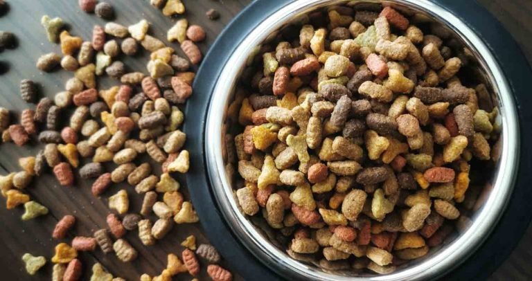 Cat Food Ingredients (EXPLAINING a Cat Food Label)
