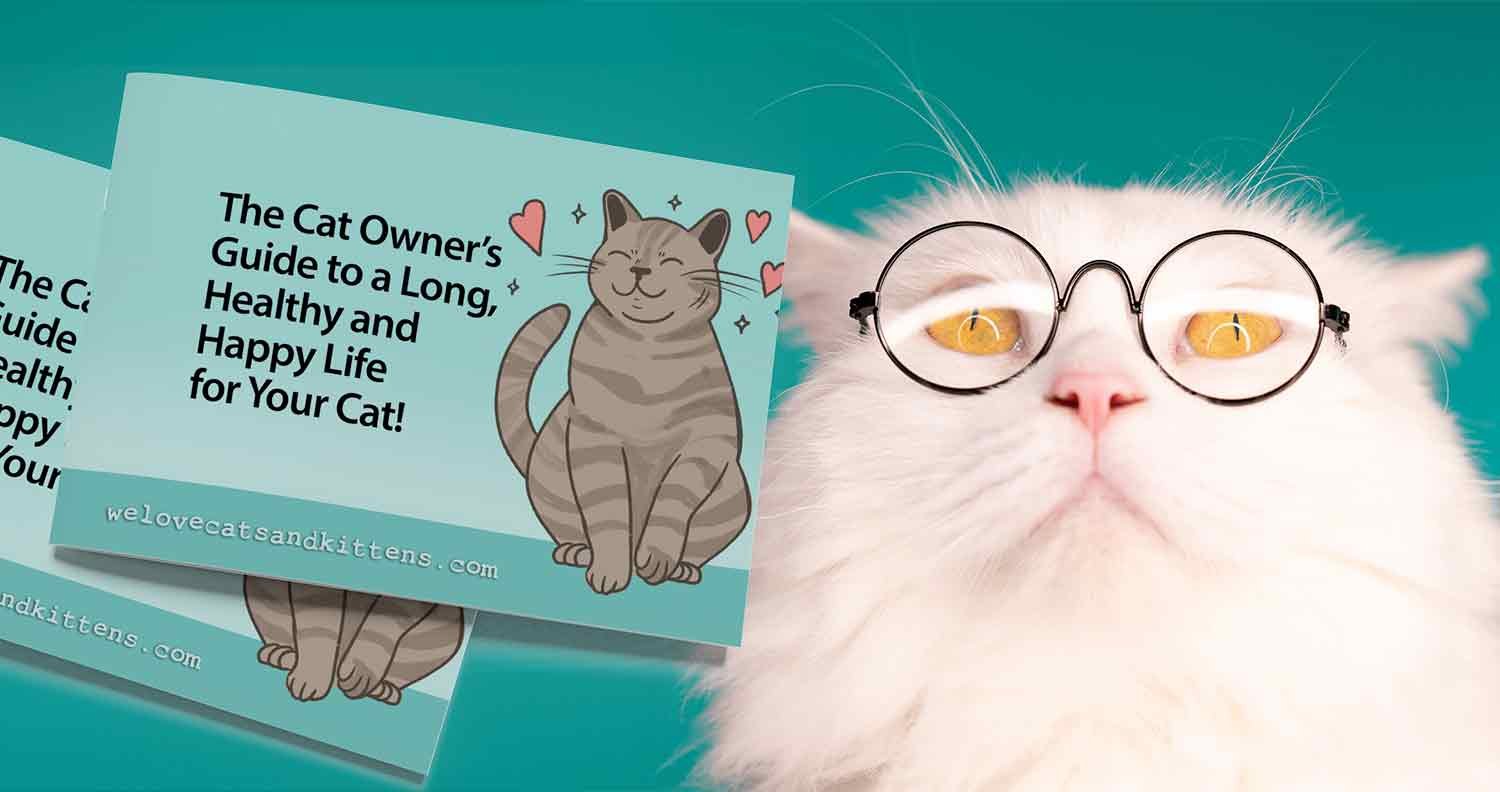 Join Our Cat Owner's Guide for Expert Tips and Advice