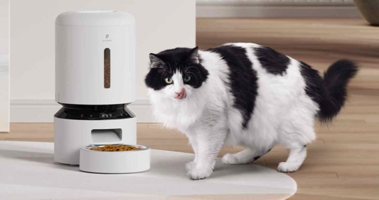 Petlibro Automatic Pet Feeder Review: The Granary Cat Feeder Solution ...