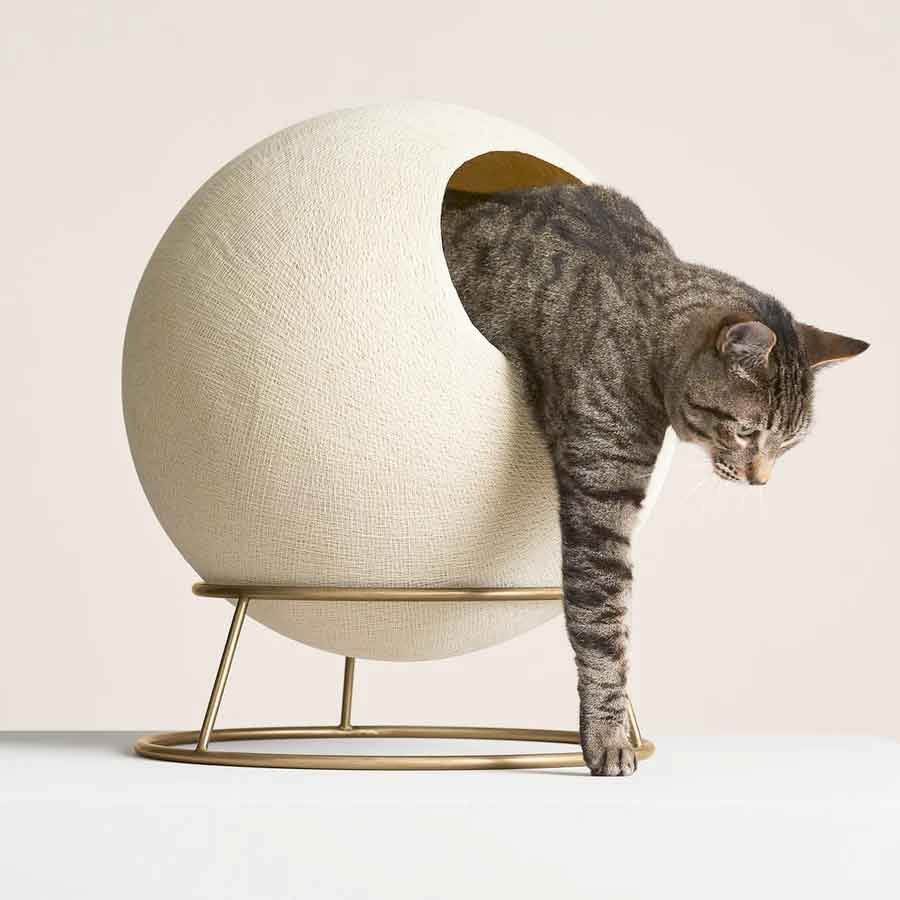Best Cat Caves for Cozy and Secure Feline Napping Spots