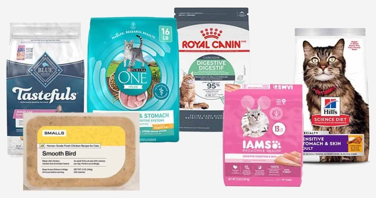 Cat Food - Unbiased Reviews and Guides of Cat Food