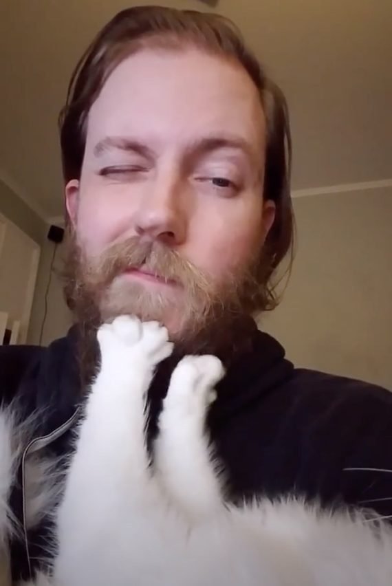 London’s Deaf Cat Discovers the World on Two Wheels with Her Dad - We ...