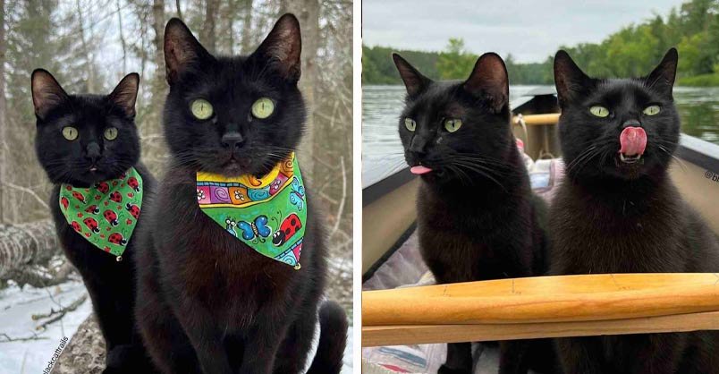 Paddling for Charity: Ledges and Coal's Extraordinary River Adventure ...