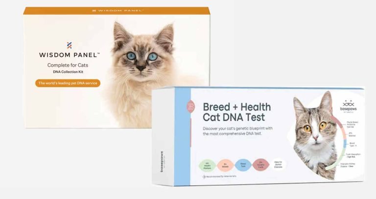 11 Must-Have Luxury Cat Products For Every Big-Hearted Cat Lover