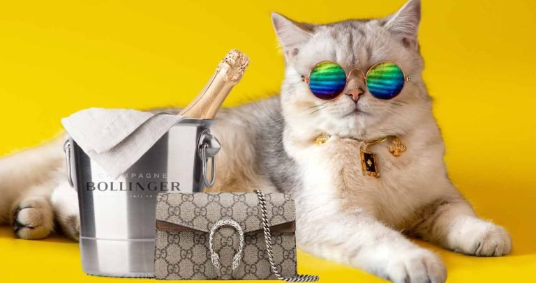 11 Must-Have Luxury Cat Products For Every Big-Hearted Cat Lover