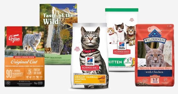 Best Wet and Dry Fiber Foods for Cats (2025)| We Love Cats and Kittens