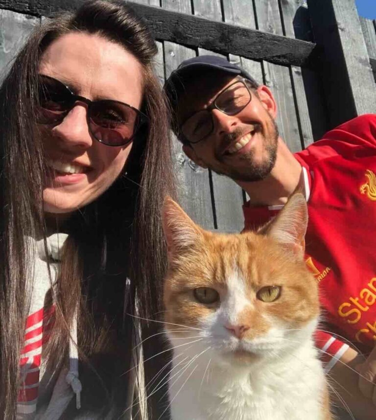 Meet Timmy and See How Love Gave This Senior Shelter Cat His Song Back ...